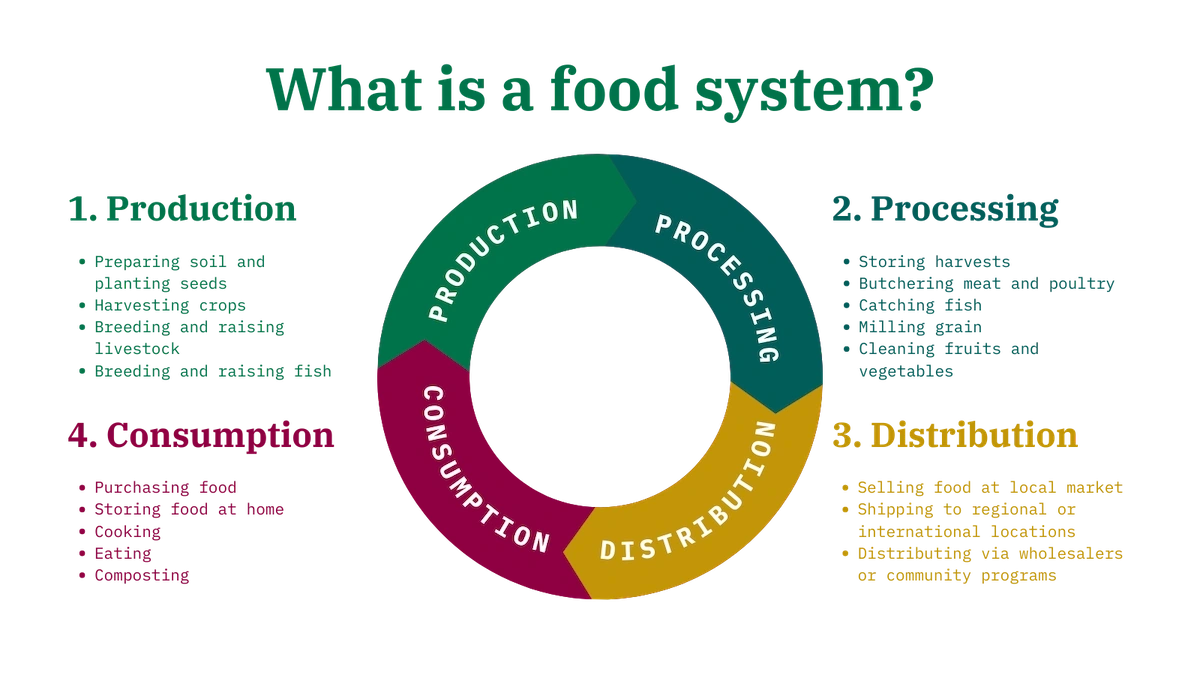 Food Systems | Why You Need to Care Now!